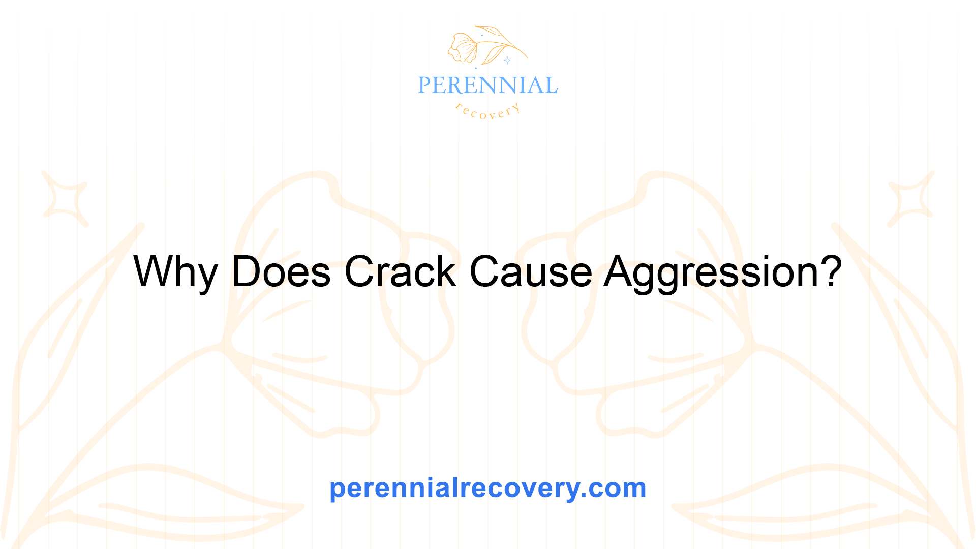 Why Does Crack Cause Aggression? - Perennial Recovery